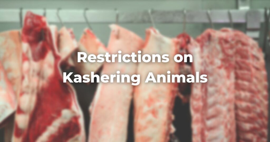 Exploring Judaism - The Digital Home for Conservative Judaism