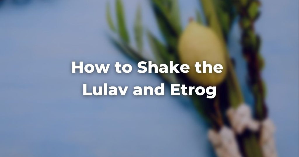 How to Shake the Lulav and Etrog - The Digital Home for Conservative ...