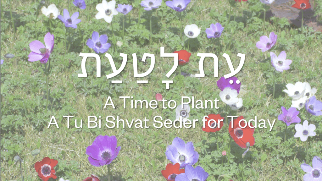 Tu Bishvat - The Digital Home for Conservative Judaism